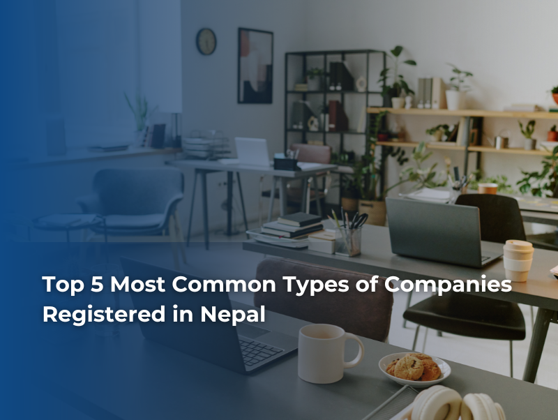 Top 5 Most Common Types of Companies Registered in Nepal